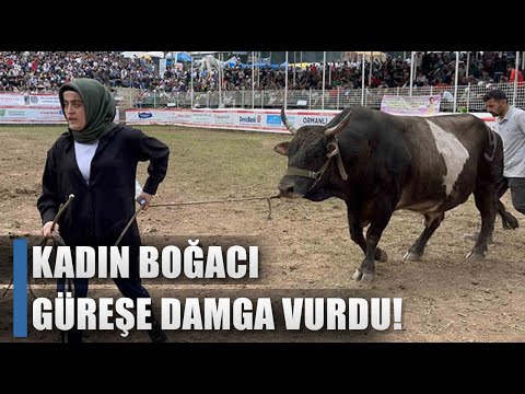 Artvinli Kadın Boğacı Güreşe Damga Vurdu! Bu Nasıl Cesaret? / AGRO TV HABERl
