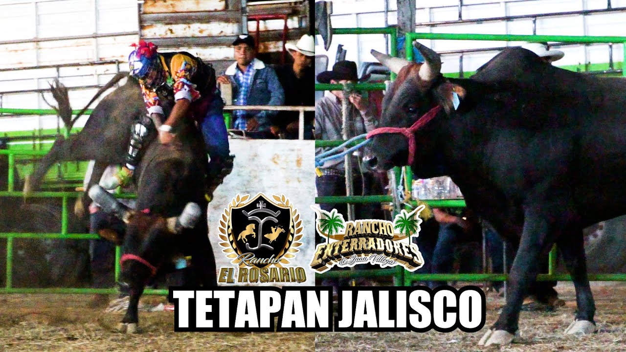 ¡SE ESTRENO UN NUEVO TORO! RANCHO EL ROSARIO Y LOS ENTERRADORES EN ...