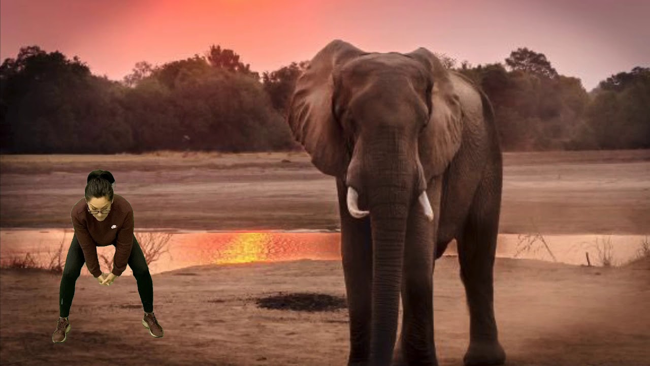 Elephant Breaths Mindful Minute - YouTube