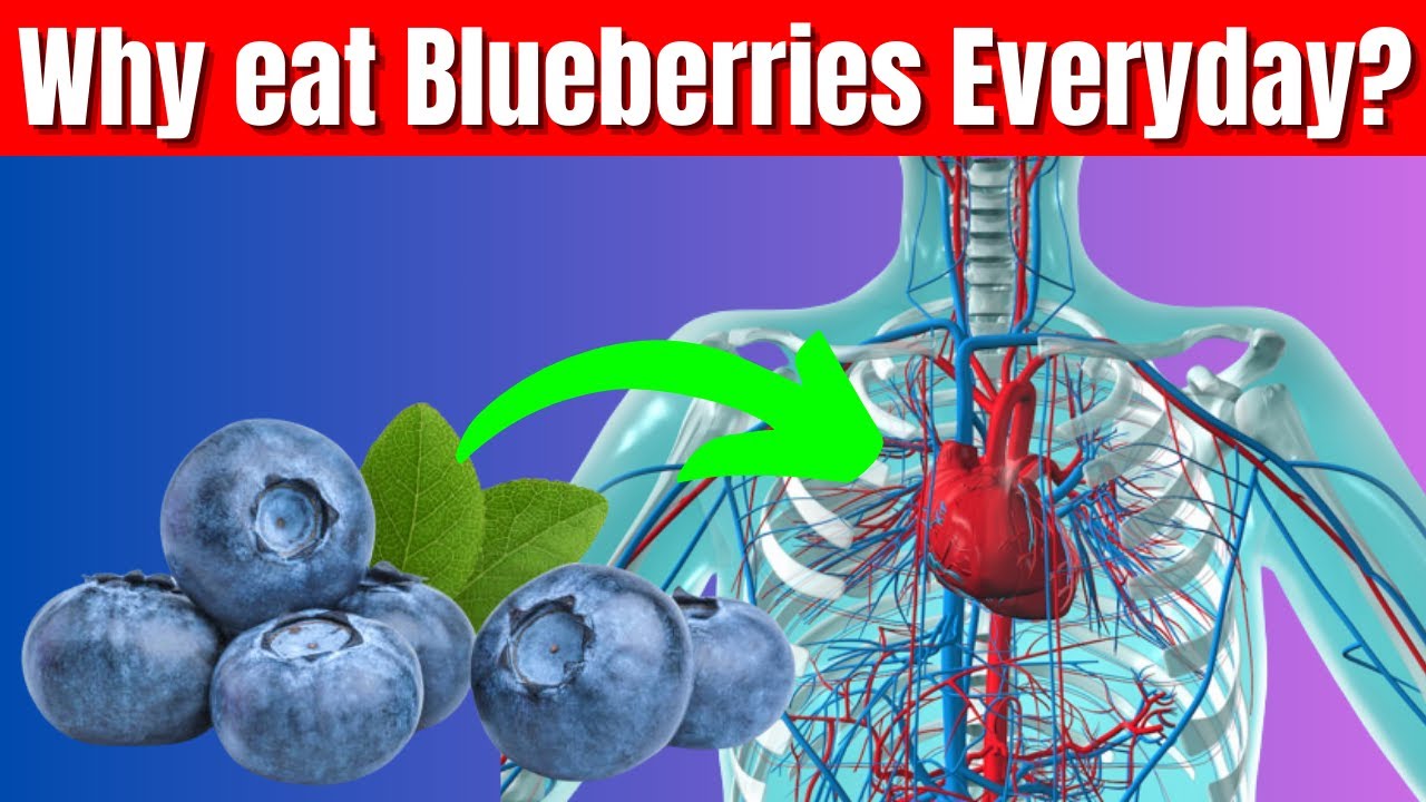 What Happens To Your Body If You Eat Blueberries Everyday? - YouTube