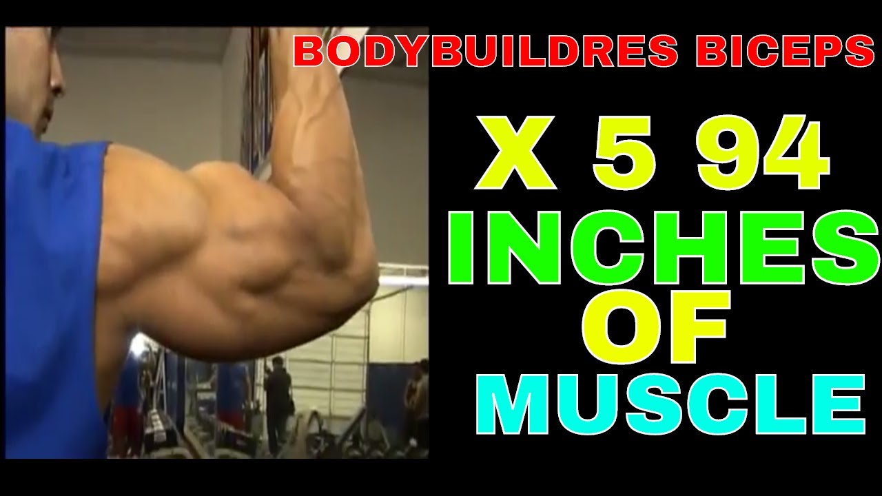 Bodybuilder Biceps x 5 94 inches of muscle - YouTube