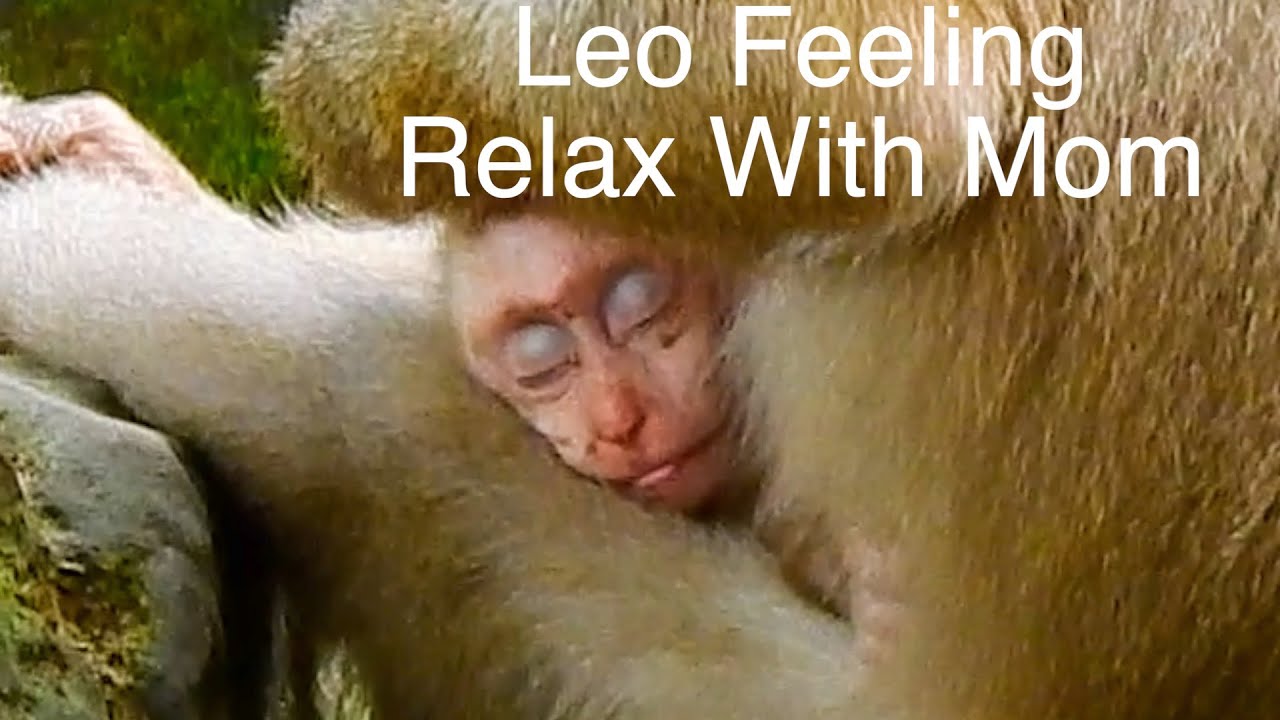 Oh Great! Baby Leo Feeling So Good On Hand Mom Libby I So Lovely Baby ...