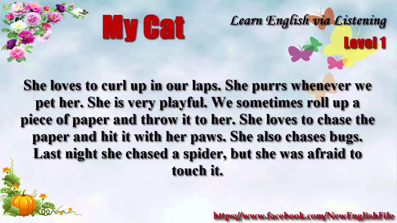 My Cat Learn English via Listening Level 1 Unit 64 - YouTube