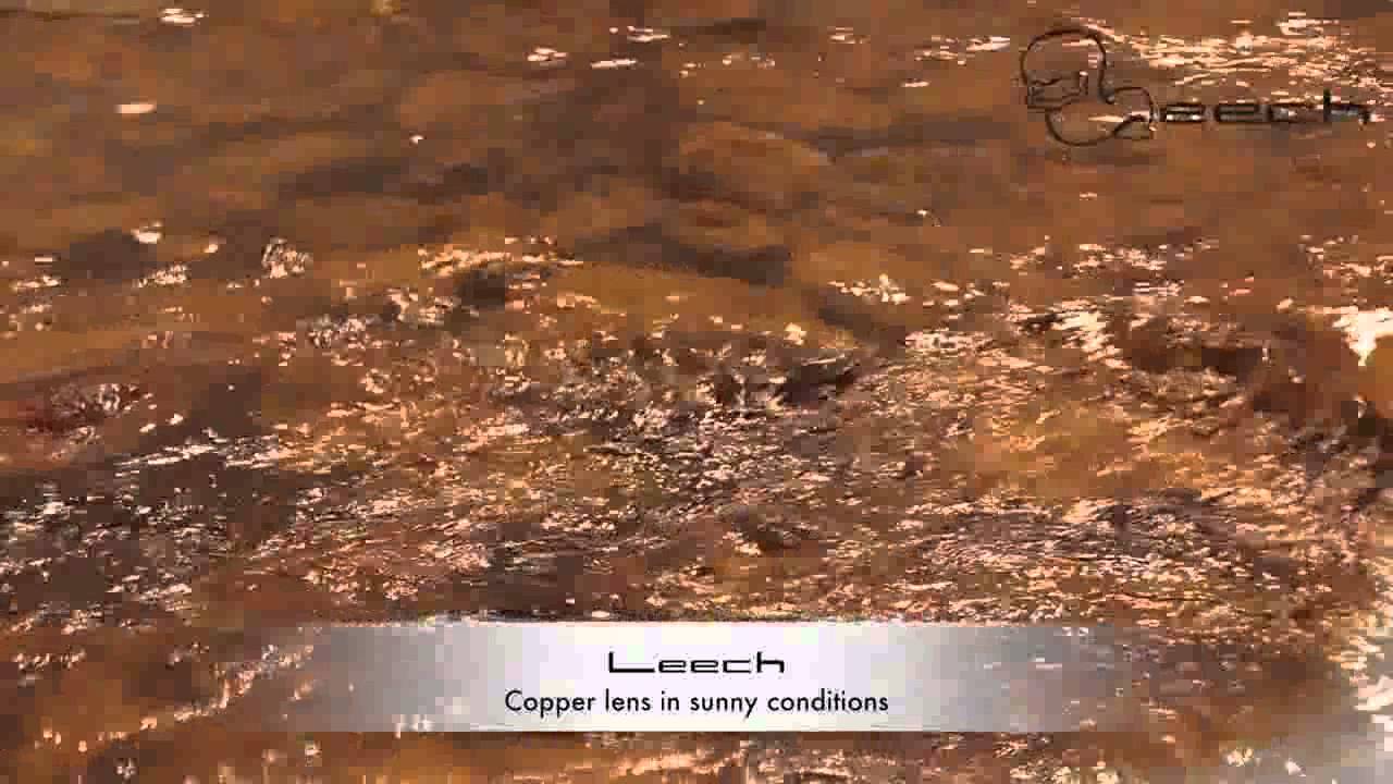 Leech Polarized Copper Lens Test - YouTube