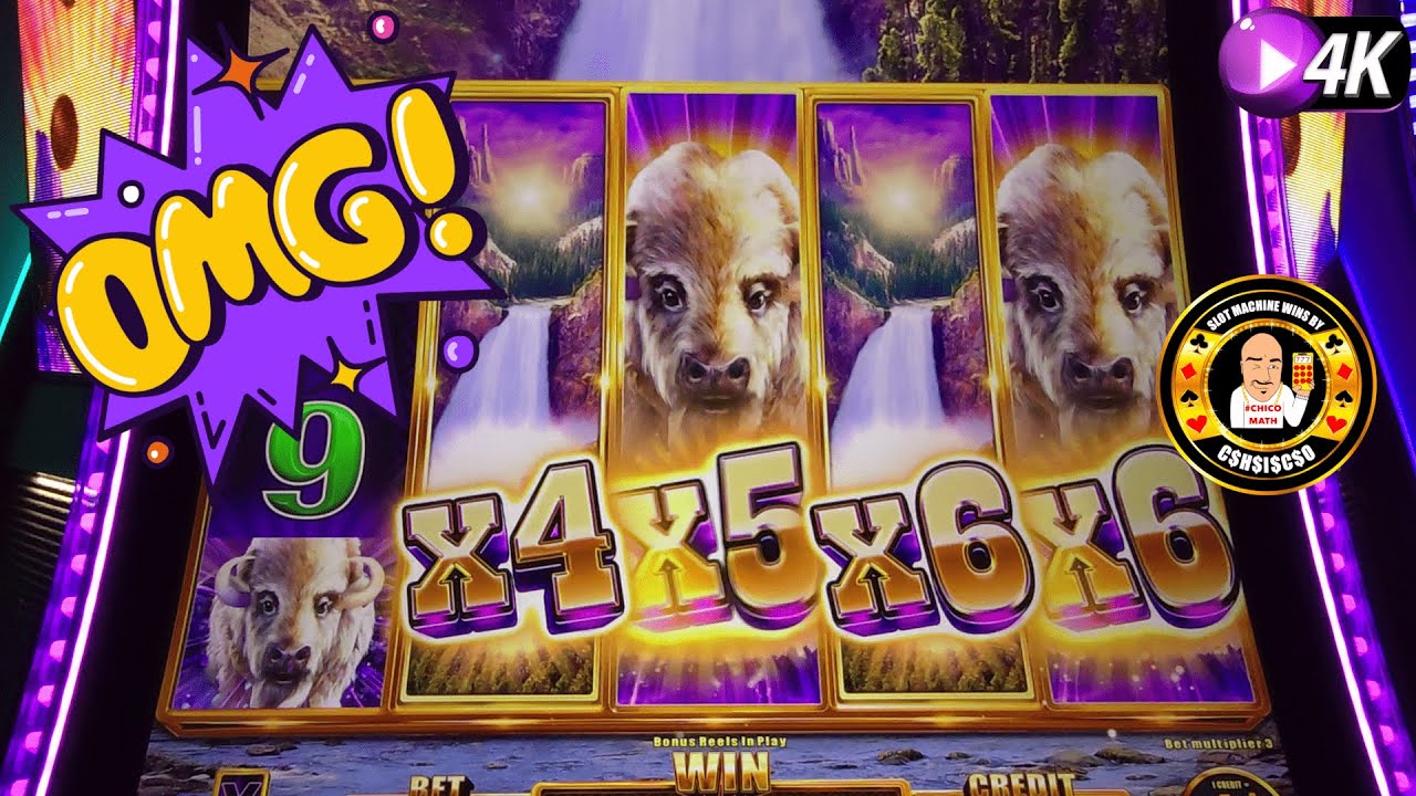 Just Released Big Win Slot Videos: The Latest & Best Payouts
