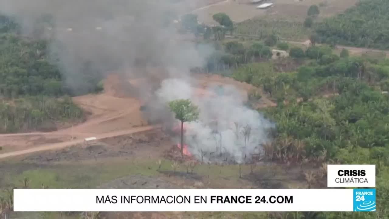 Incendios en Brasil por la ola de calor arrasan hectáreas de bosque ...