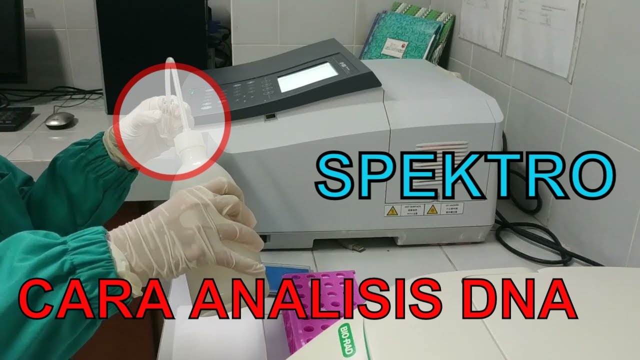 Analisis DNA Hasil Isolasi dengan Spektro - YouTube