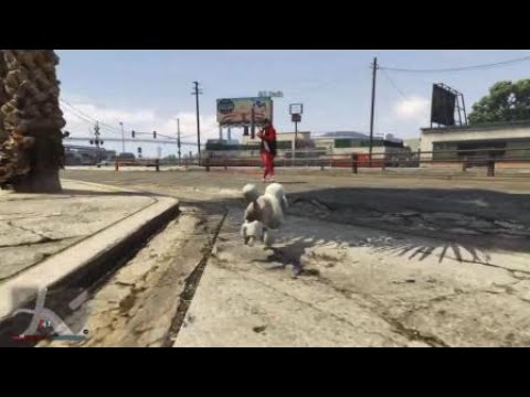 How do you get clapped by a dog - YouTube