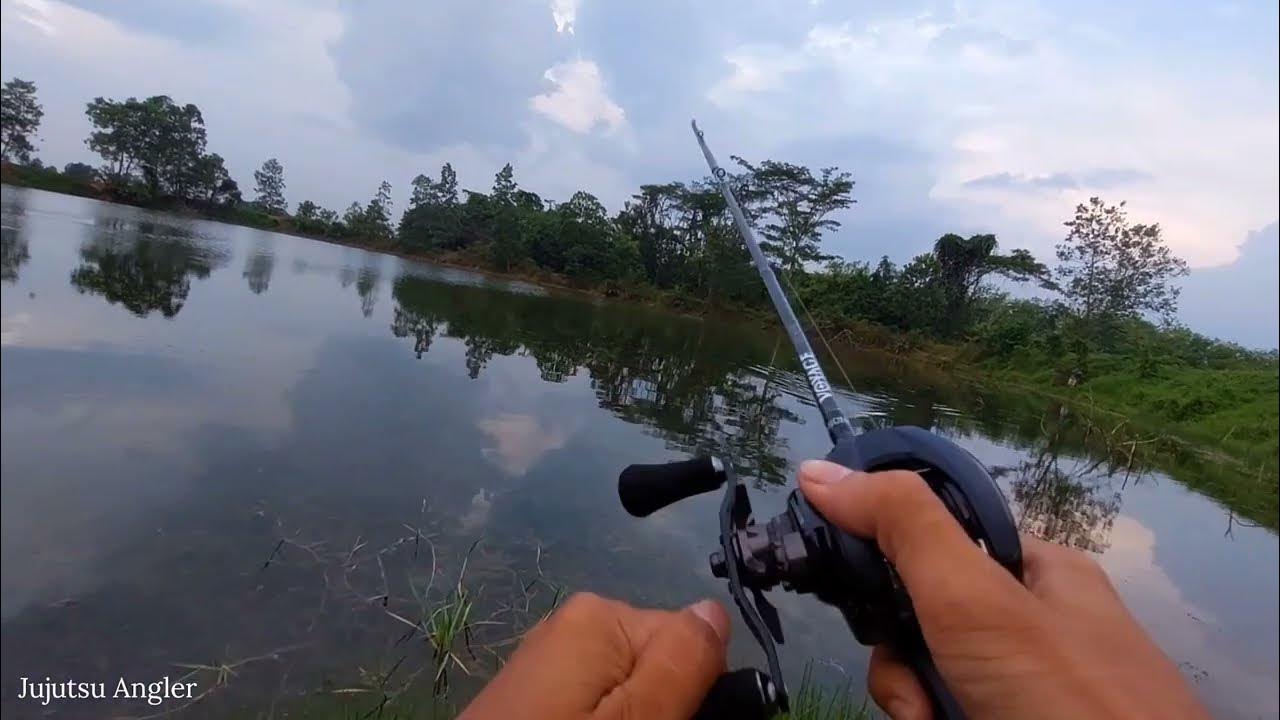 Casting gabus di sore hari ternyata dapat ikan gabus besar 😱 - YouTube