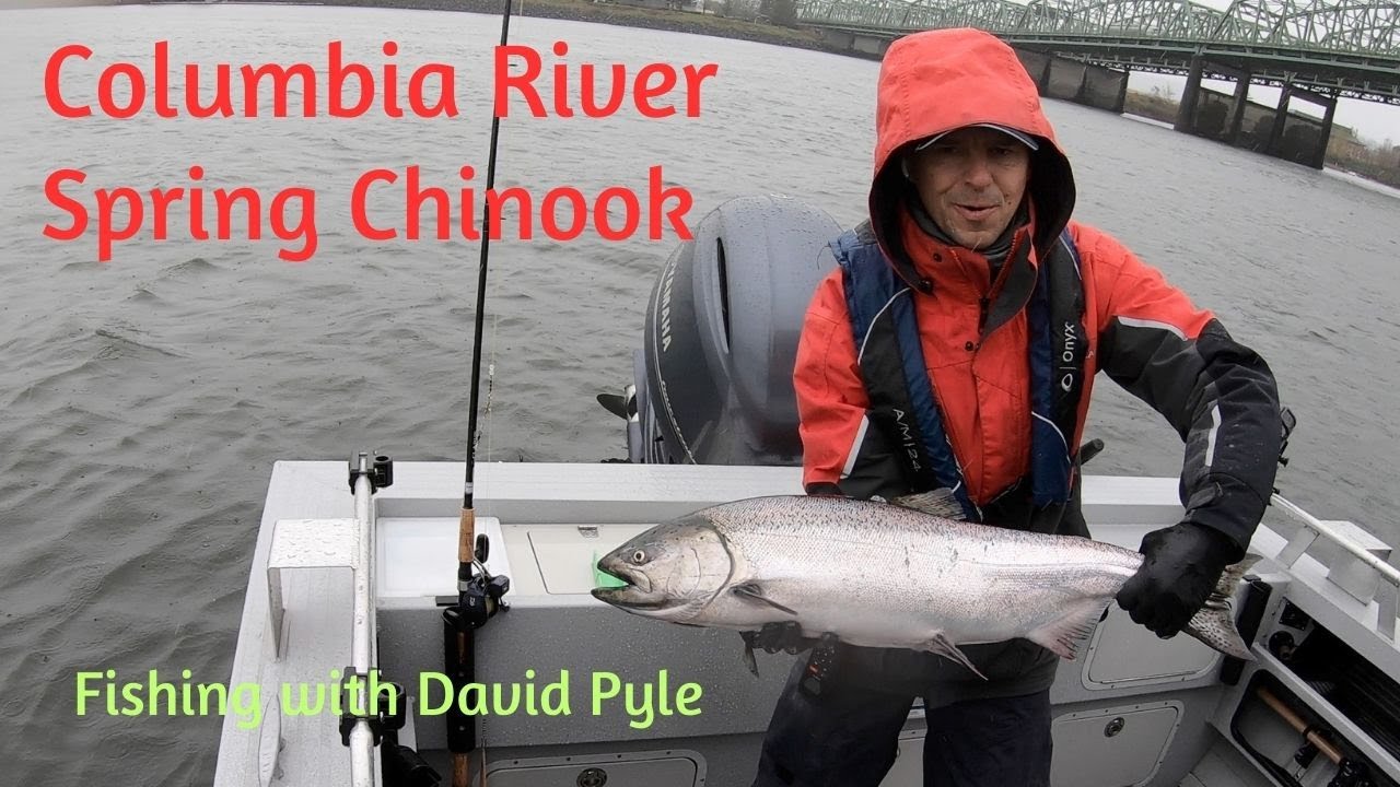 Finally, the 2023 Columbia River Springers showed up. - YouTube