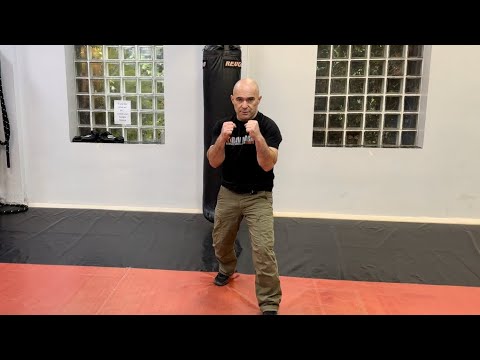 Fighting Stance Explained - YouTube