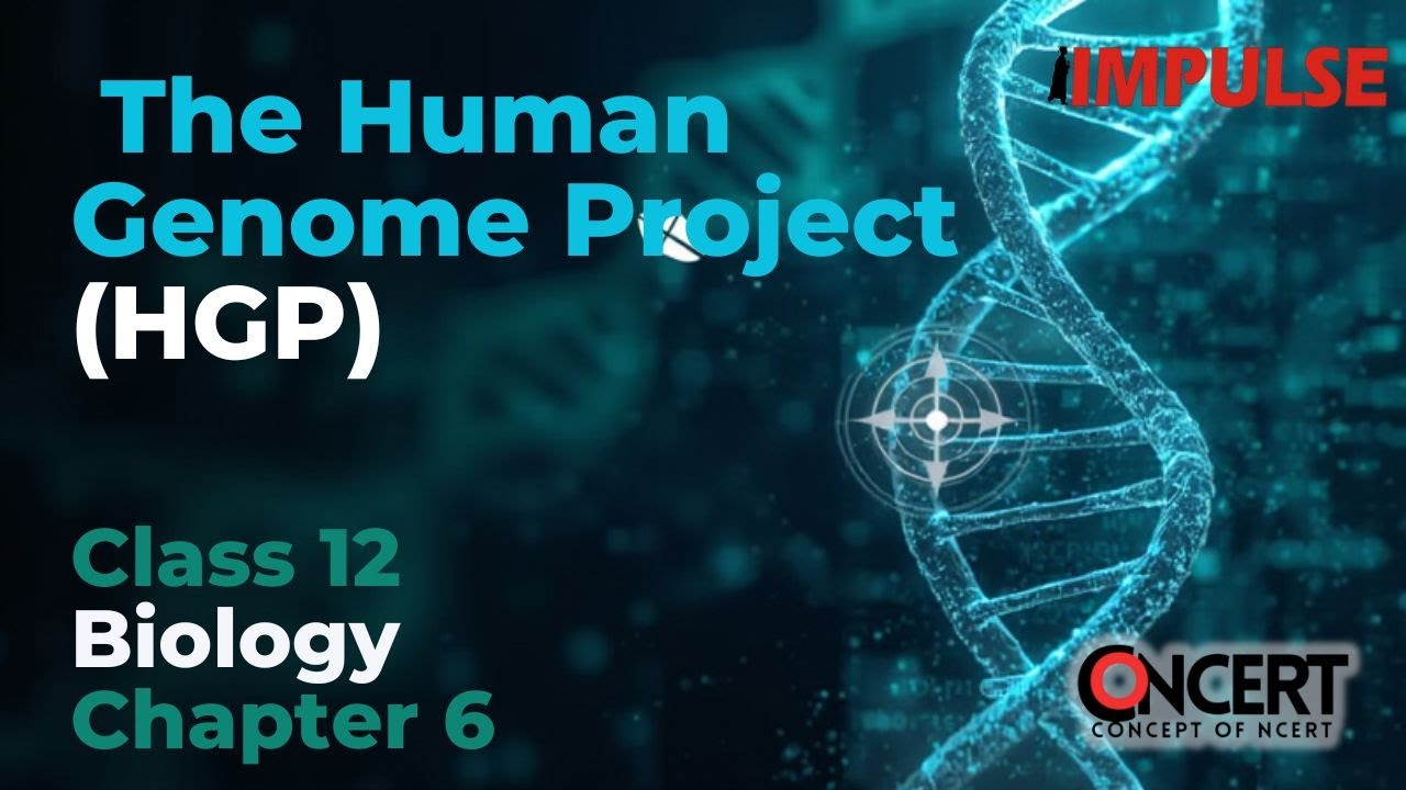 Master the Human Genome Project (HGP) in One Shot! 🎯 | Class 12 Biology ...