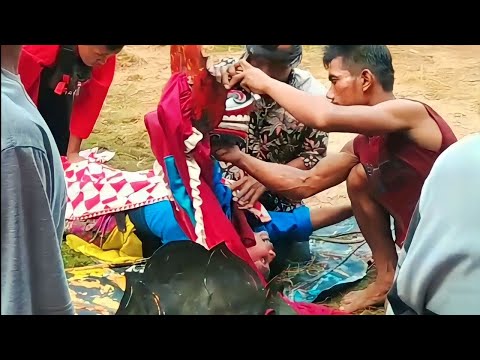 Kesurupan Kuda Lumping Paling Seram - Jaranan Pegon Putri Lampung Timur, Margo Utomo