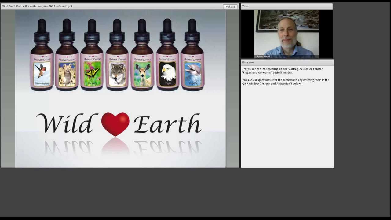 Online-Vortrag: Healing Path Essenzen (Daniel Mapel, Wild Earth) - YouTube