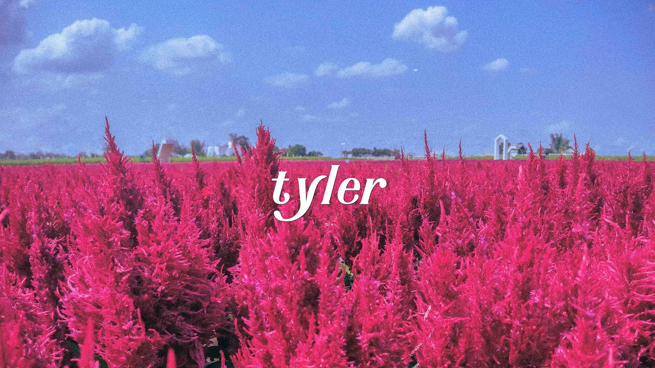 D"TYLER - คนสวนกับดอกไม้ - YouTube