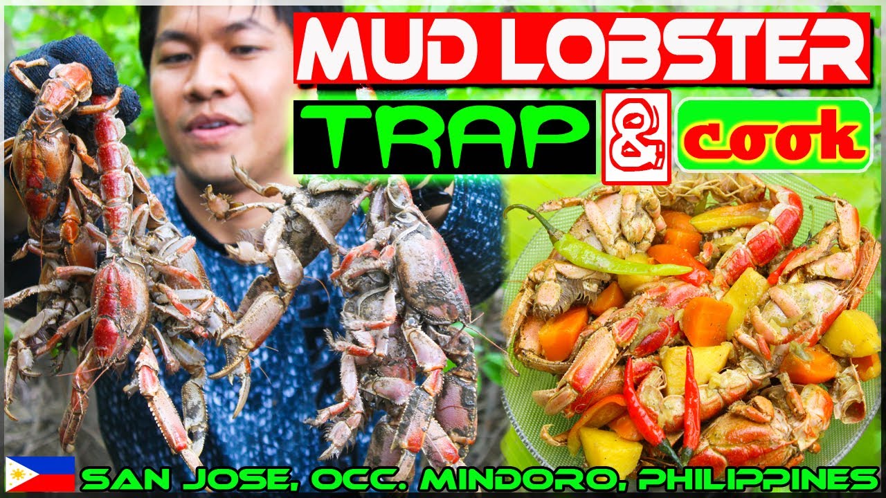 EP102 - Bulaso/Uson Catch 'n Cook | Mud Lobster Curry | Occ. Mindoro ...
