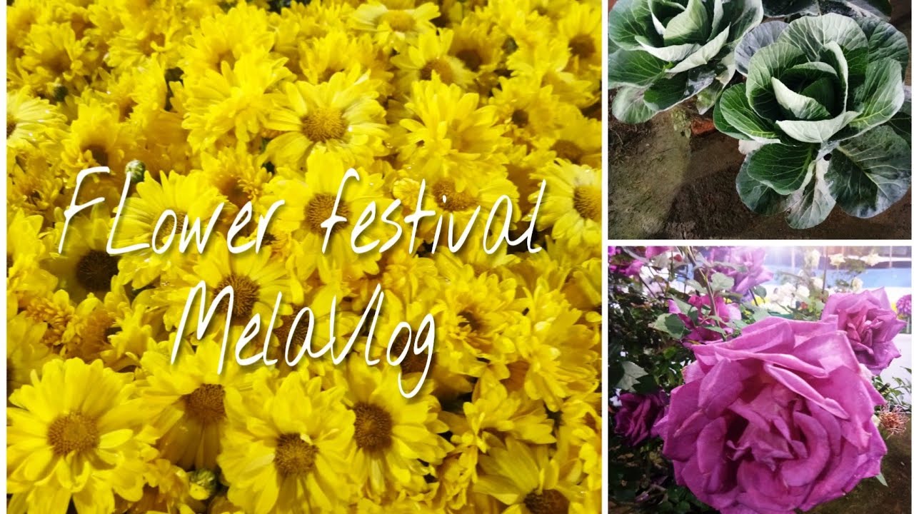 Flower Festival mela || Bengali Vlog - YouTube