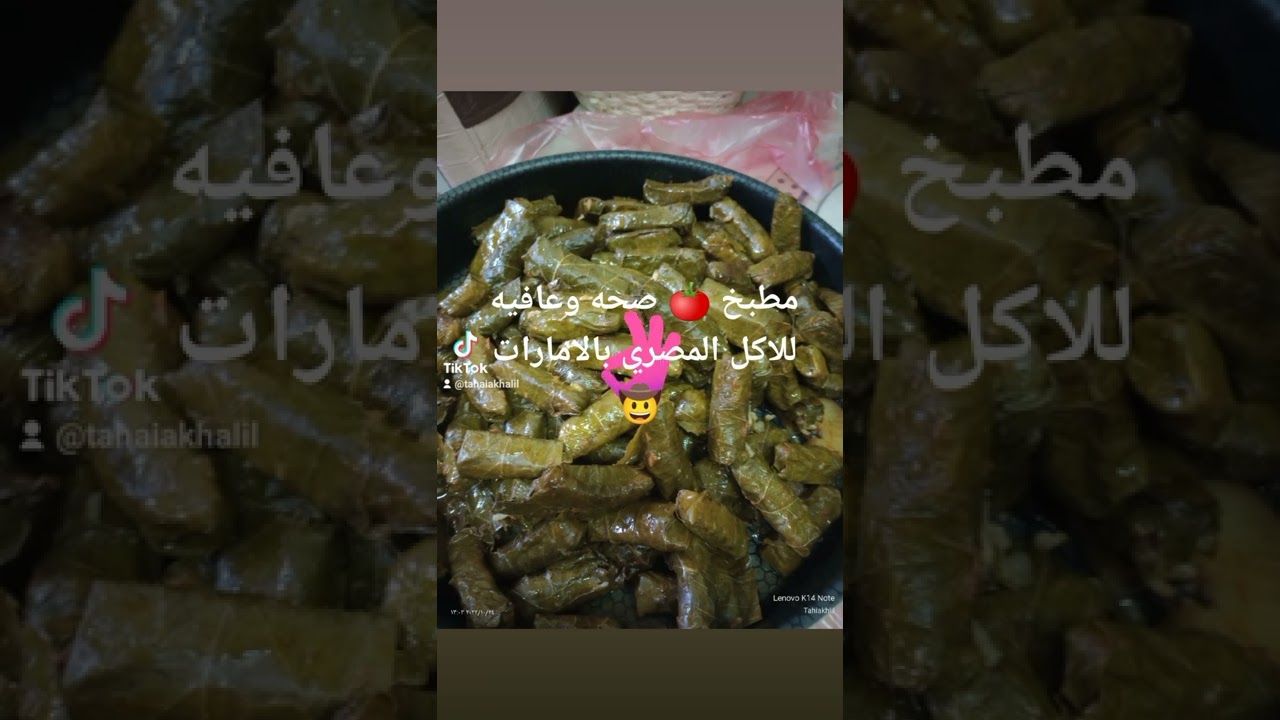 ورق عنب حامض مطبخ صحه 🍅 وعافيه 💥 للاكل المصري بالامارات Youtube