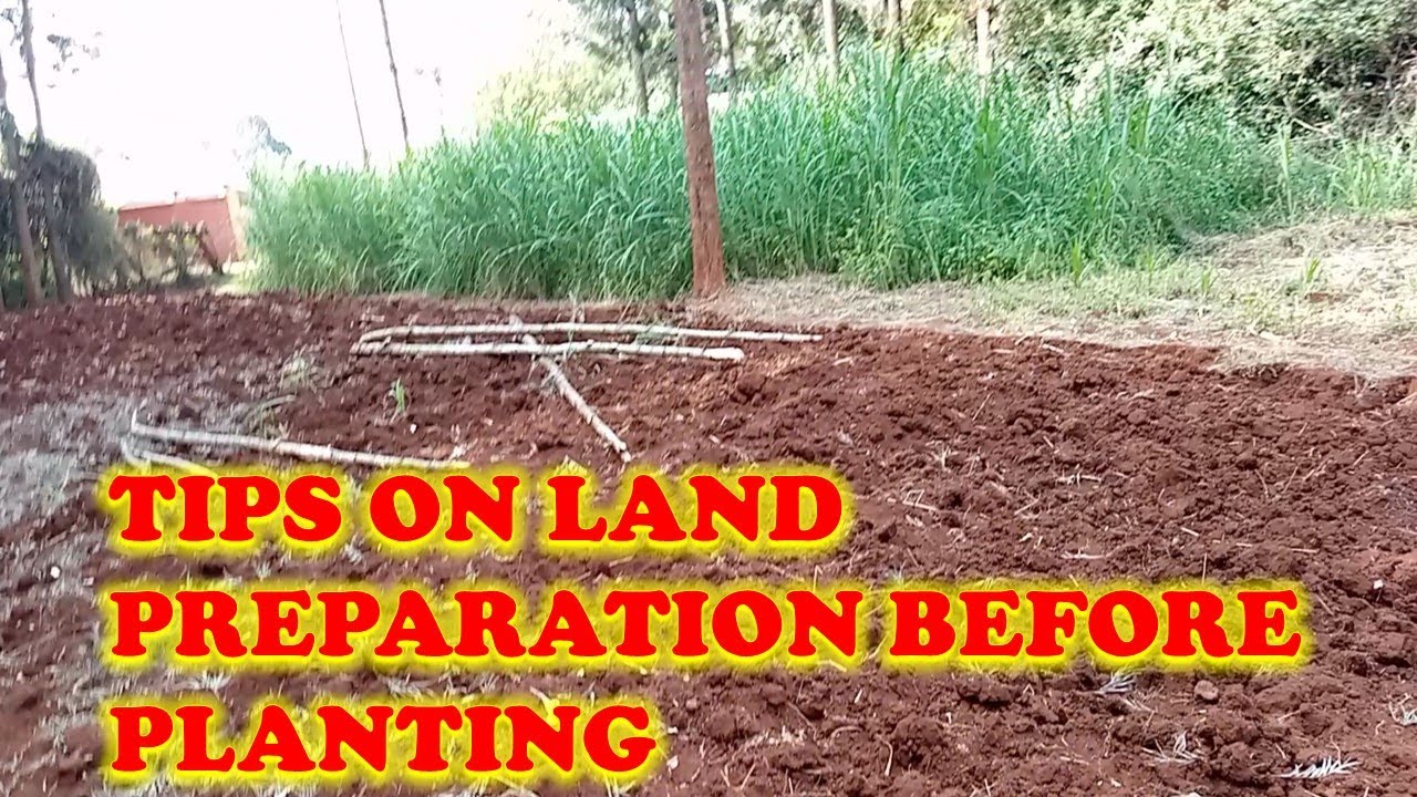 Tips on land preparation for planting - YouTube