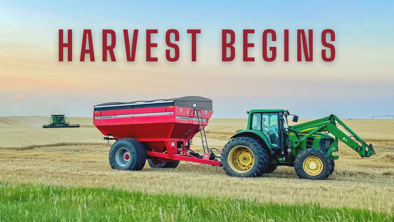 Wheat Harvest DAY 1 - Harvest BEGINS! - YouTube