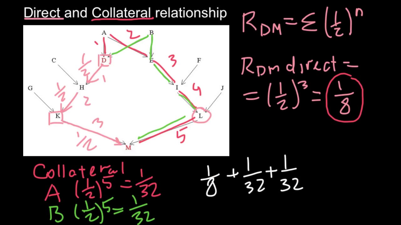 Direct and Collateral Relationships Calculations Explained - YouTube