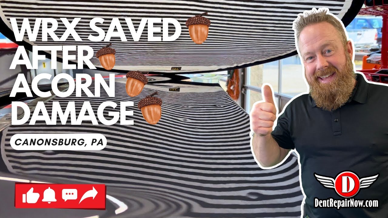 Acorn Damage Repair I Canonsburg, PA - YouTube