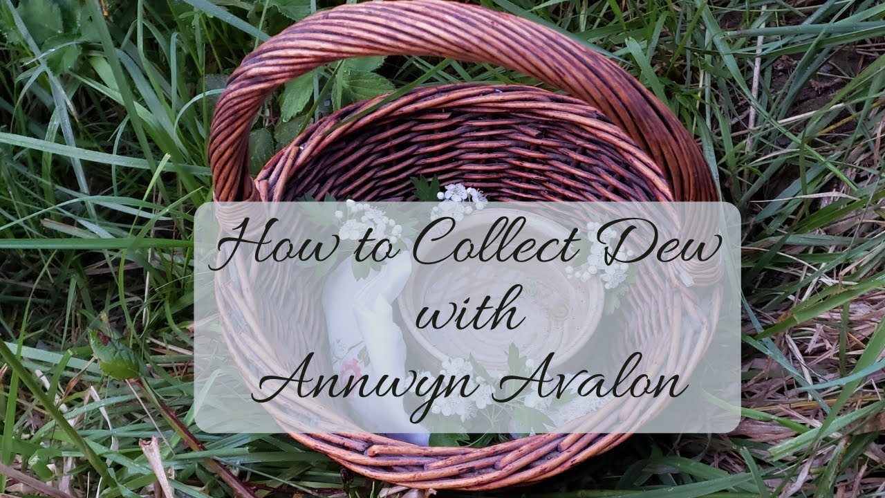 How to Collect Dew - YouTube