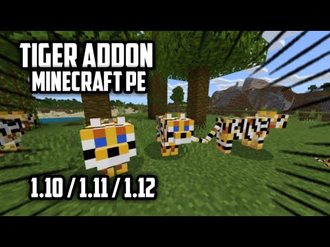 Tiger Addon Minecraft Pe 1.11 - YouTube