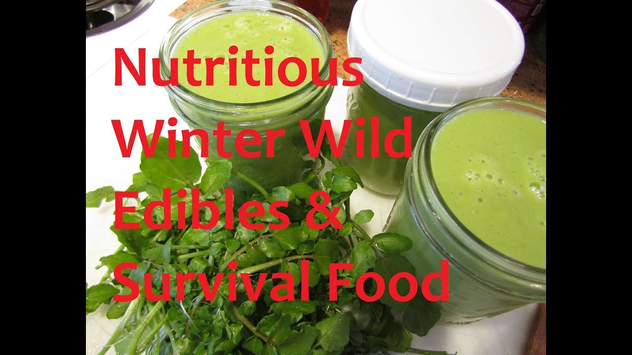 Wild Foraging Watercress - YouTube