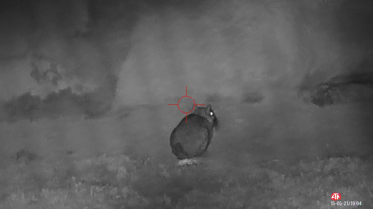 THE PRIEST II. - YouTube