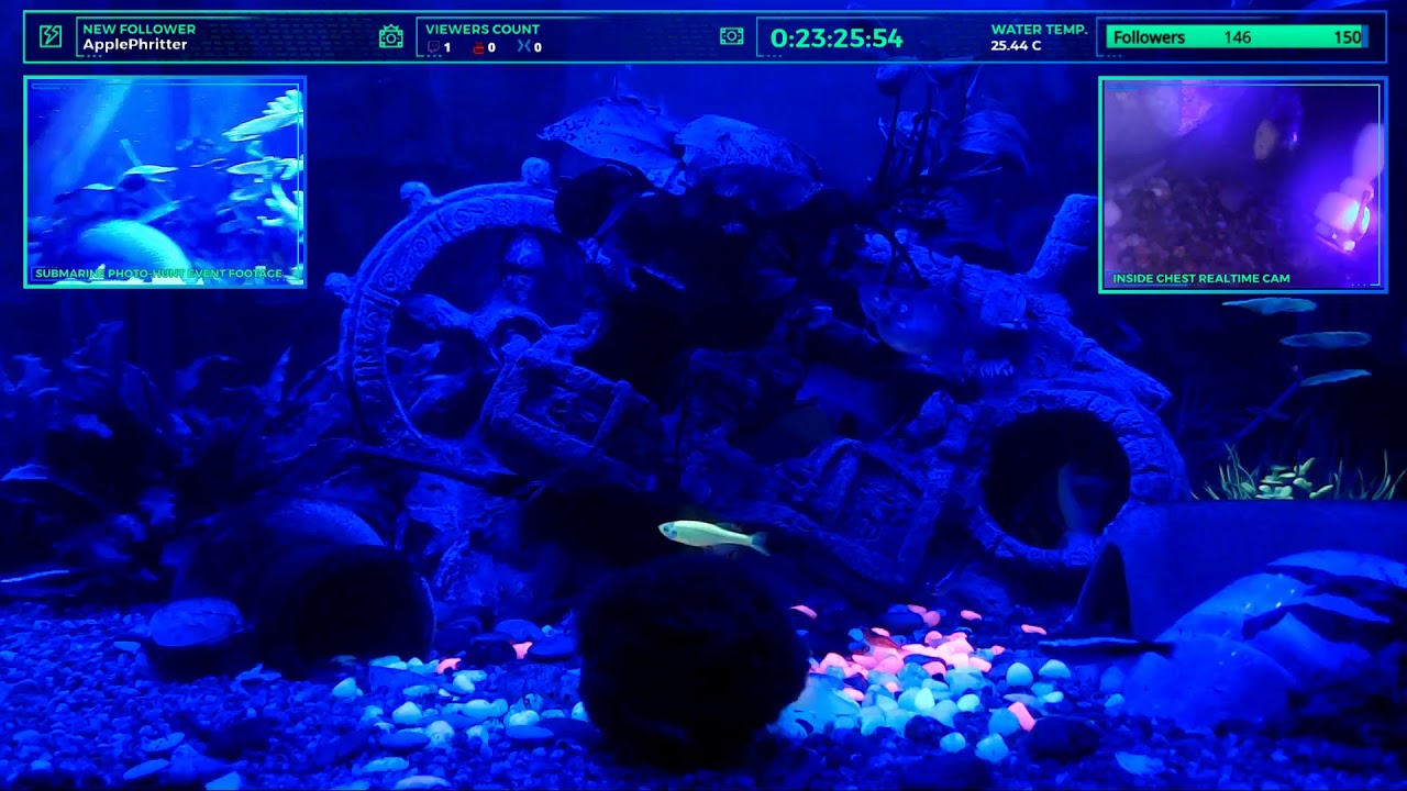 Aquavil aquarium live stream HD - YouTube