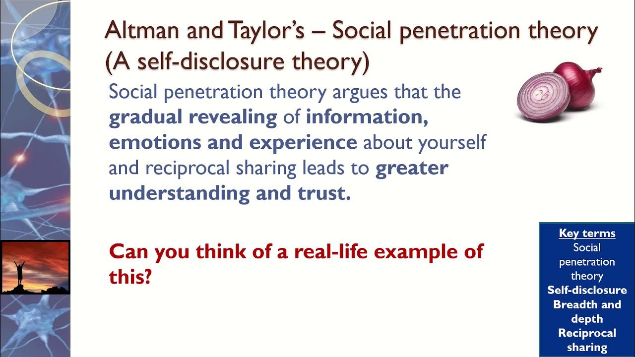 Self disclosure theory - YouTube