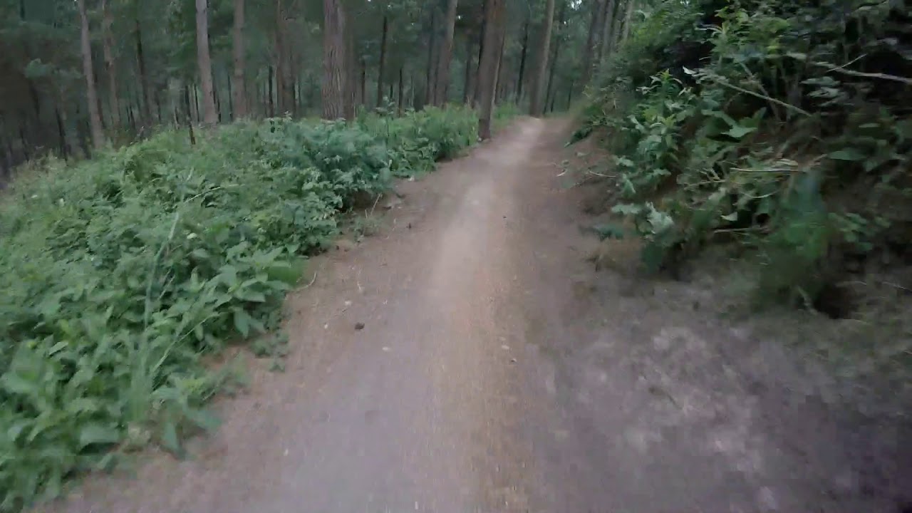 Pan Pac mtb park / Napier/ New-Zealand / MR WHIPPY - YouTube