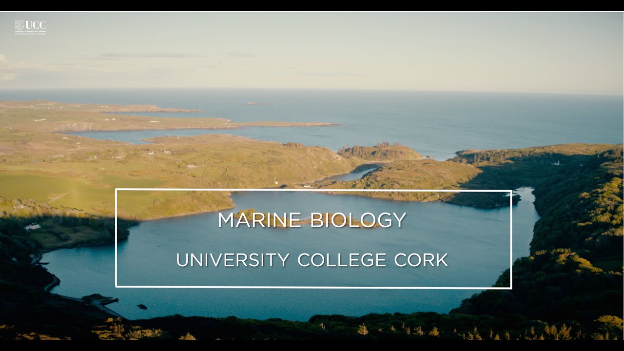 The Ranouf Lab and Marine Biology at UCC - YouTube