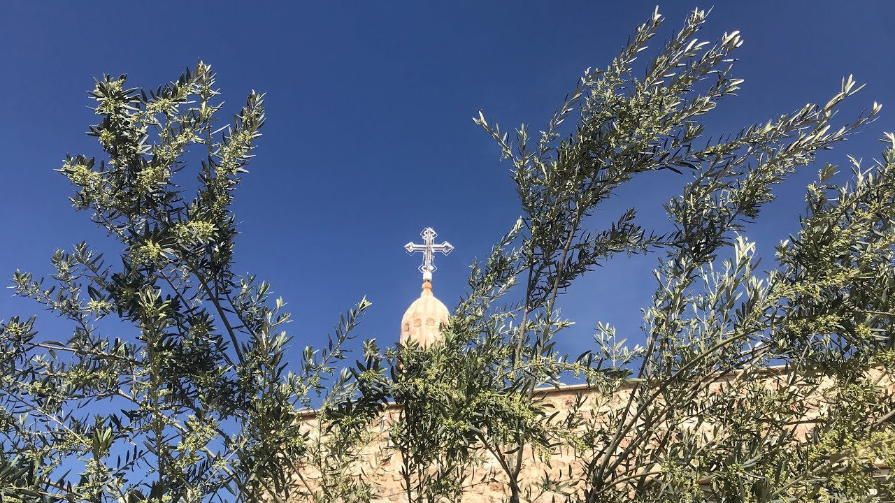 Dayro Mor Malke Rbi‘o Spring 2020 - YouTube