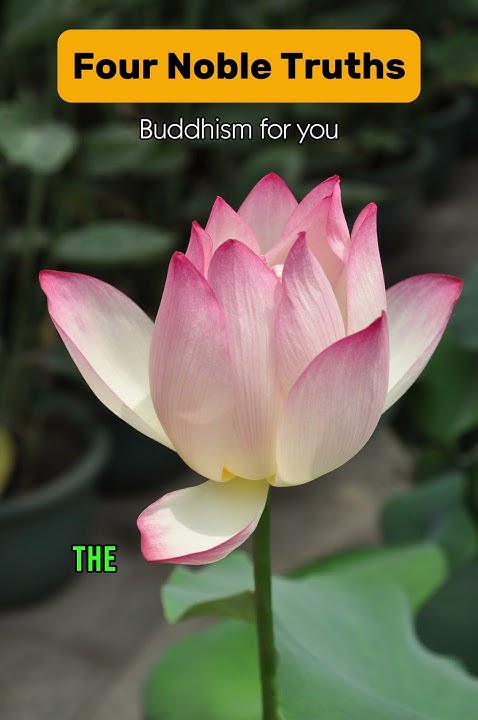 Four Noble Truths | Buddhism for you | Buddhist teachings - YouTube