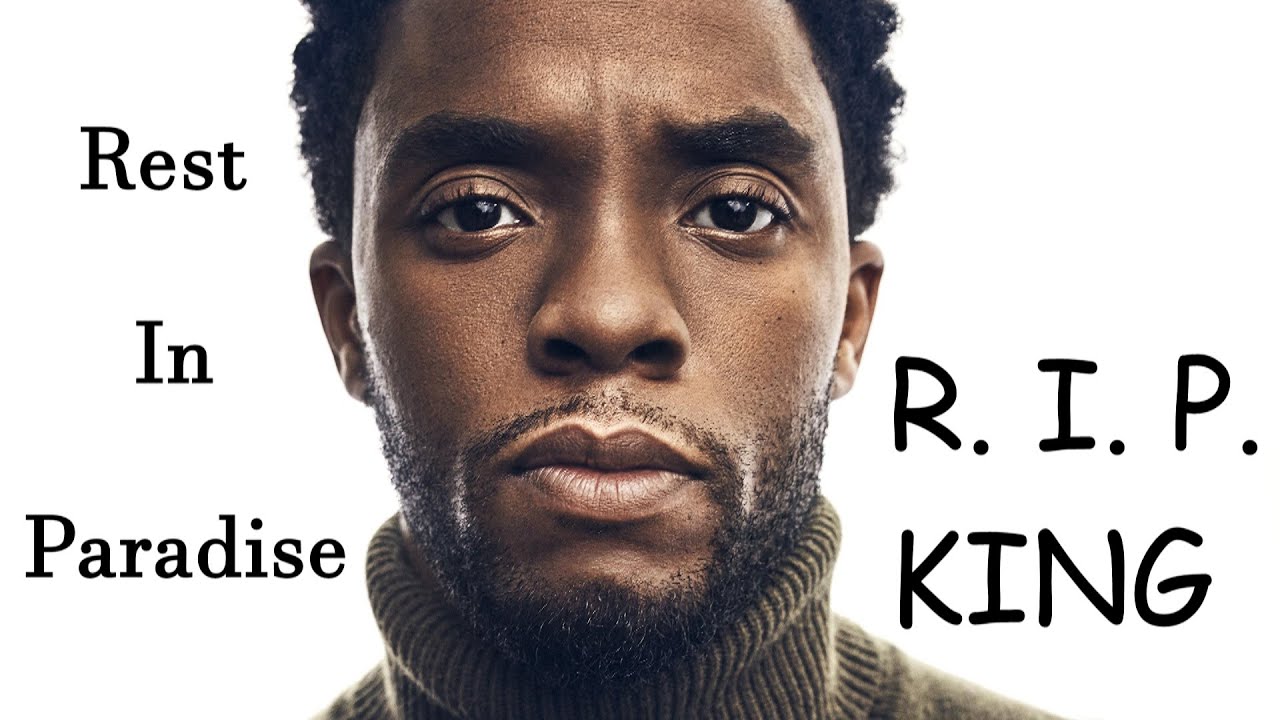 BLACK PANTHER Tribute_RIP KING - YouTube