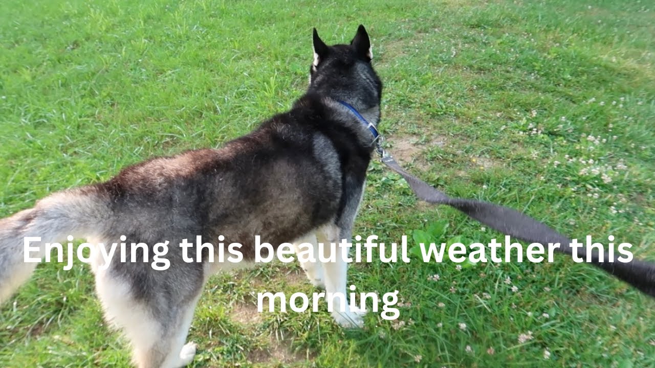 Enjoying this beautiful weather this morning - YouTube