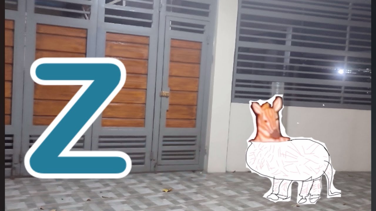 Learn the Abcs Z is for Zebra - YouTube