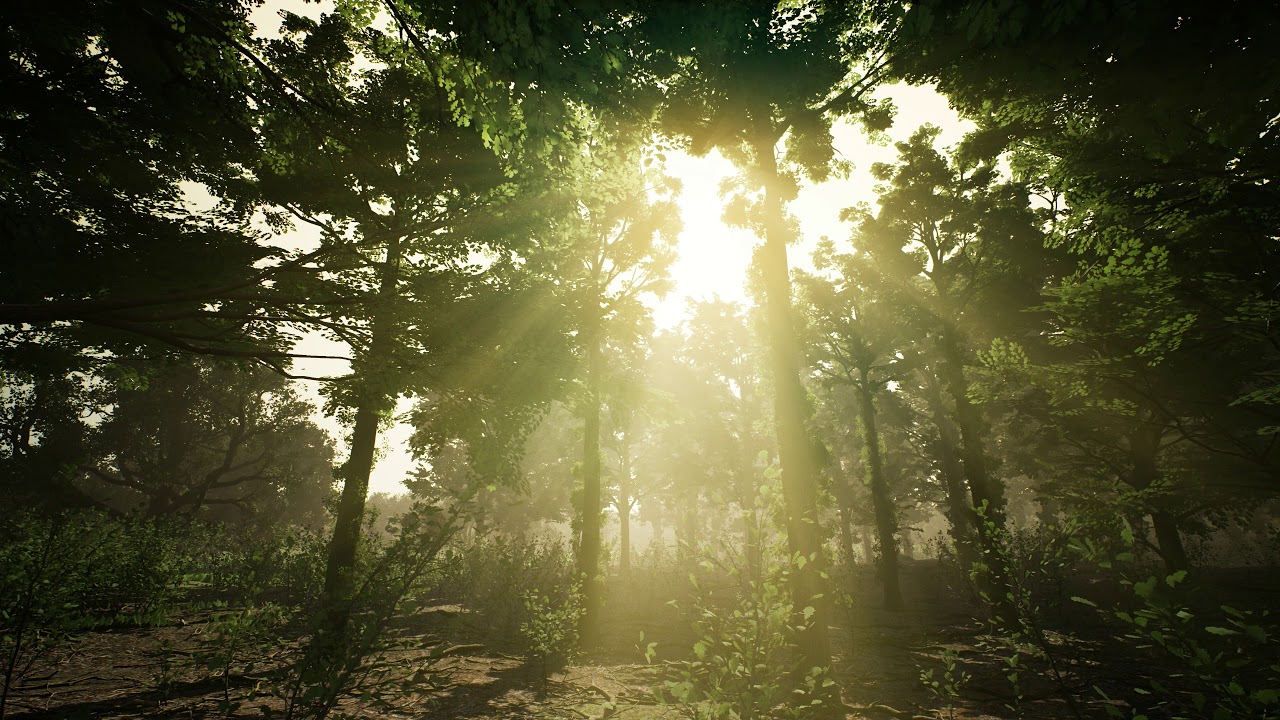 Unreal Engine 4 - Magic Sun - Trees Pack (4K) - YouTube