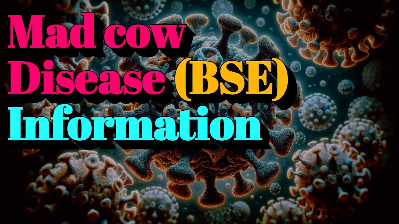 Mad cow Disease (BSE) Information (🔬Animal diseases) - YouTube