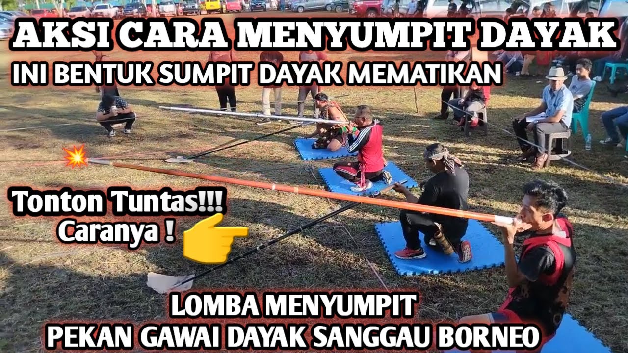 SENJATA DAYAK MEMATIKAN || AKSI MENYUMPIT INI DI PERAGAKAN PADA PEKAN ...