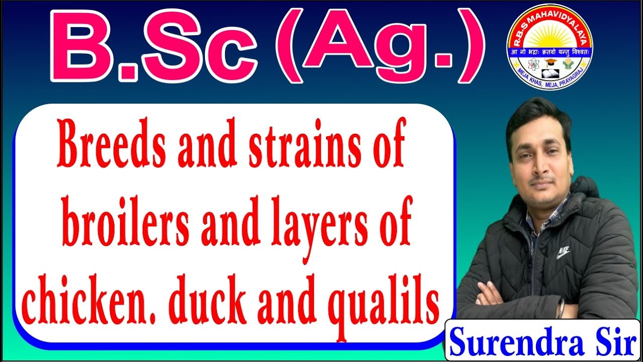 B.Sc (Ag.) 4th Semester || Breeds and strains of broilers and layers of ...