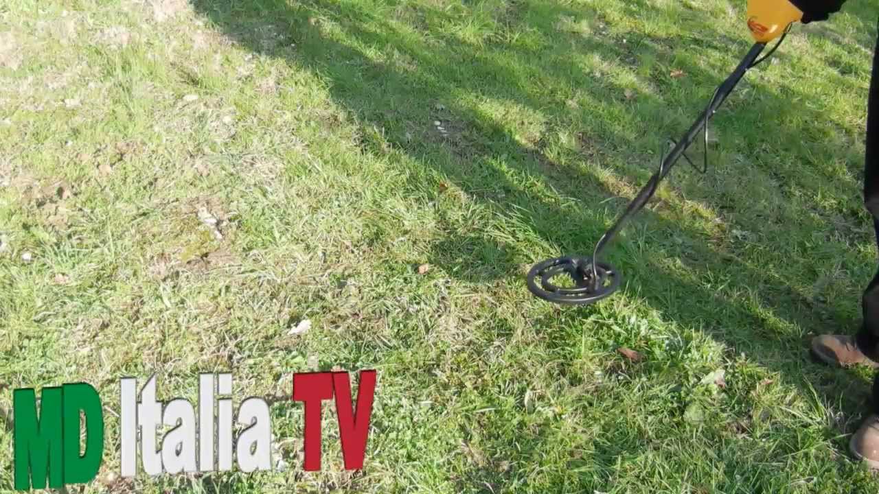 Garrett 250 field test stock and NEL coils & Garrett AT Pro stock ...