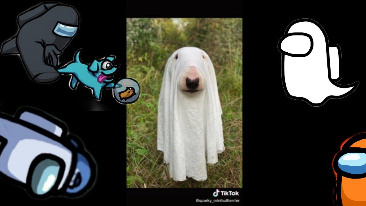 El fantasmón ¡Among us! ramdom® - YouTube