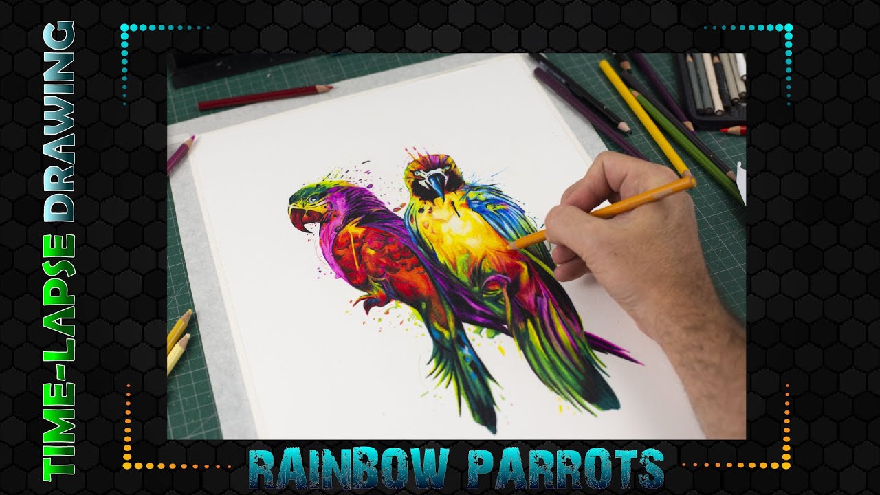 Colourful Rainbow Parrot drawing - YouTube