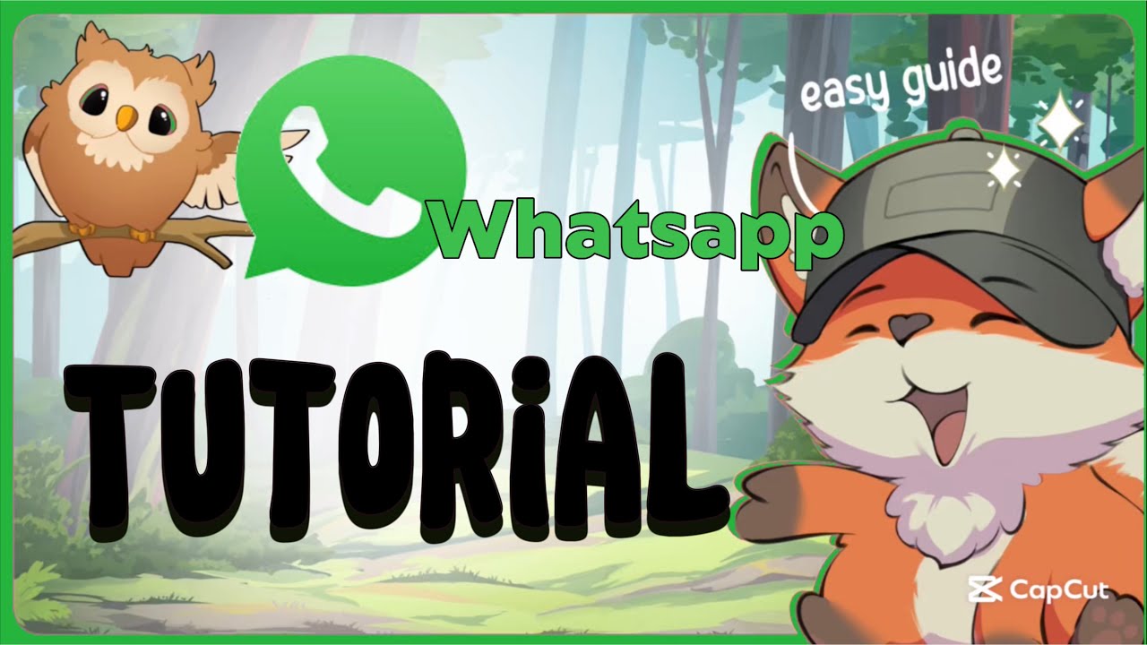 WhatsApp App 2025 | Guide Glimpse - YouTube