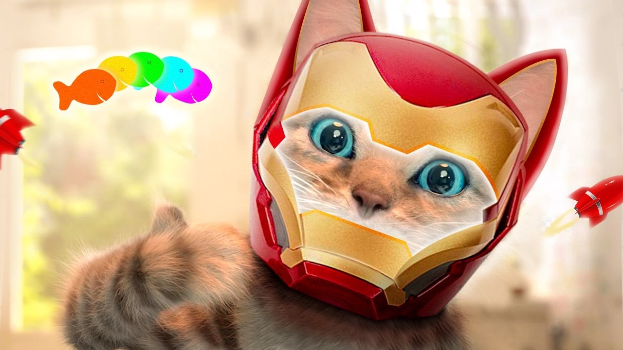 Animated Cartoon Little Kitten Adventure Education for kids learning ...