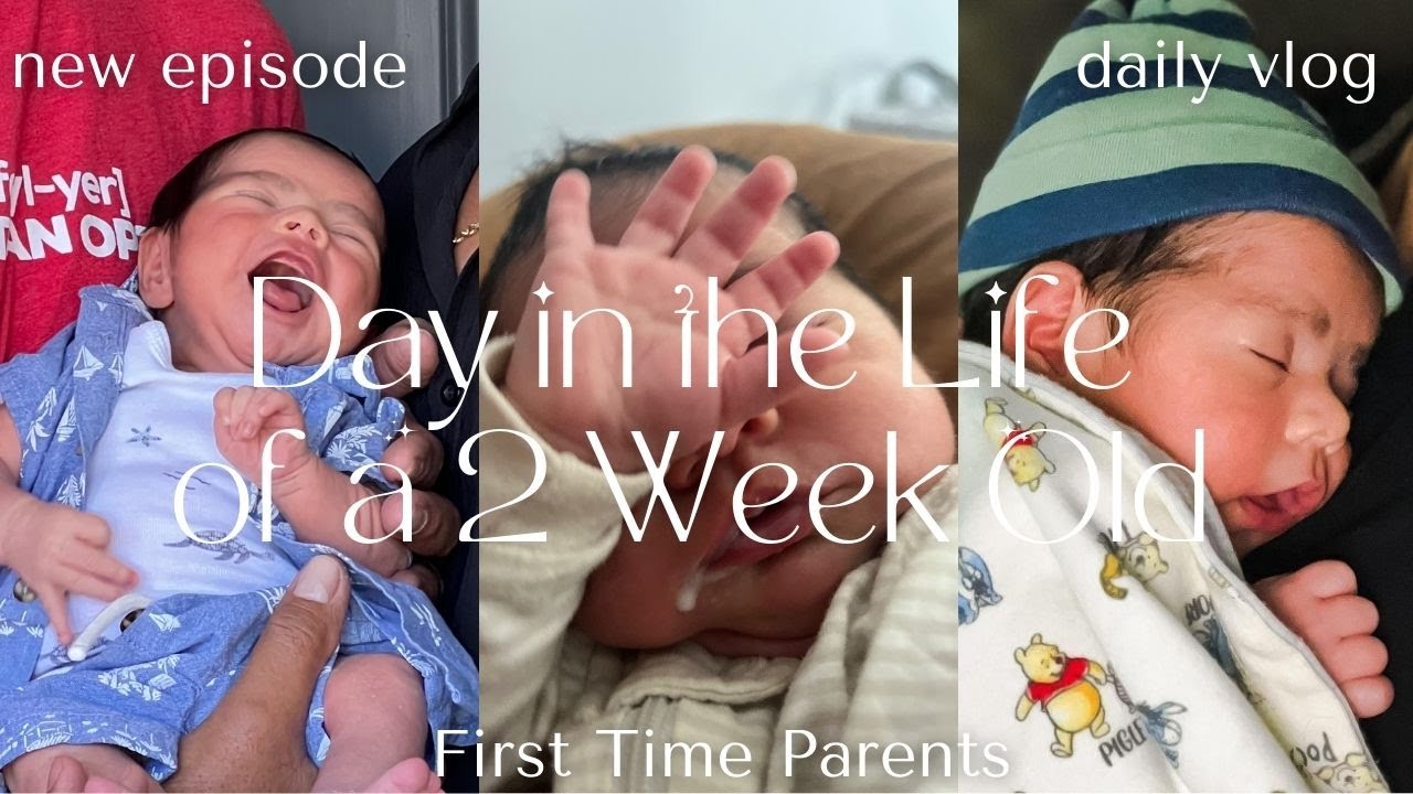 Our Baby’s 2 Week Appointment 🩺 | Newborn Growth & Updates - YouTube