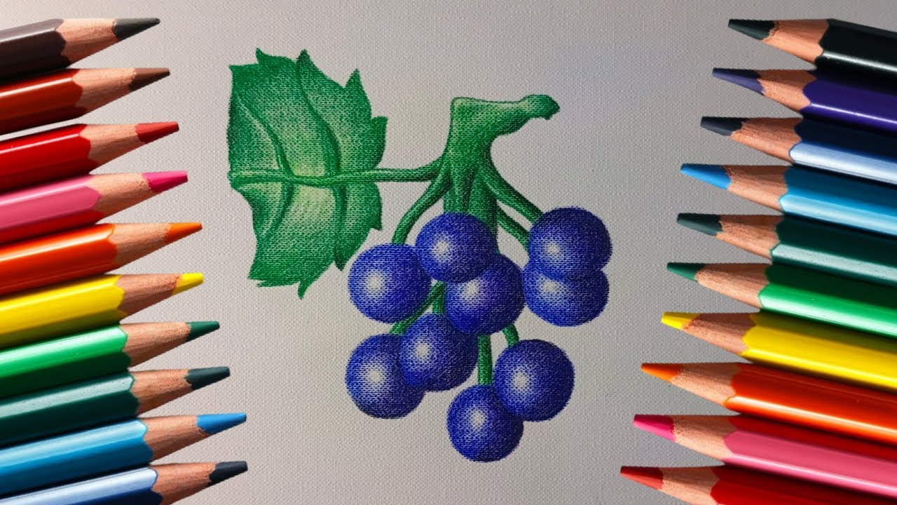 Easy Drawing for Kids | How to draw Yummy Grapes | Drawing Tutorial ...